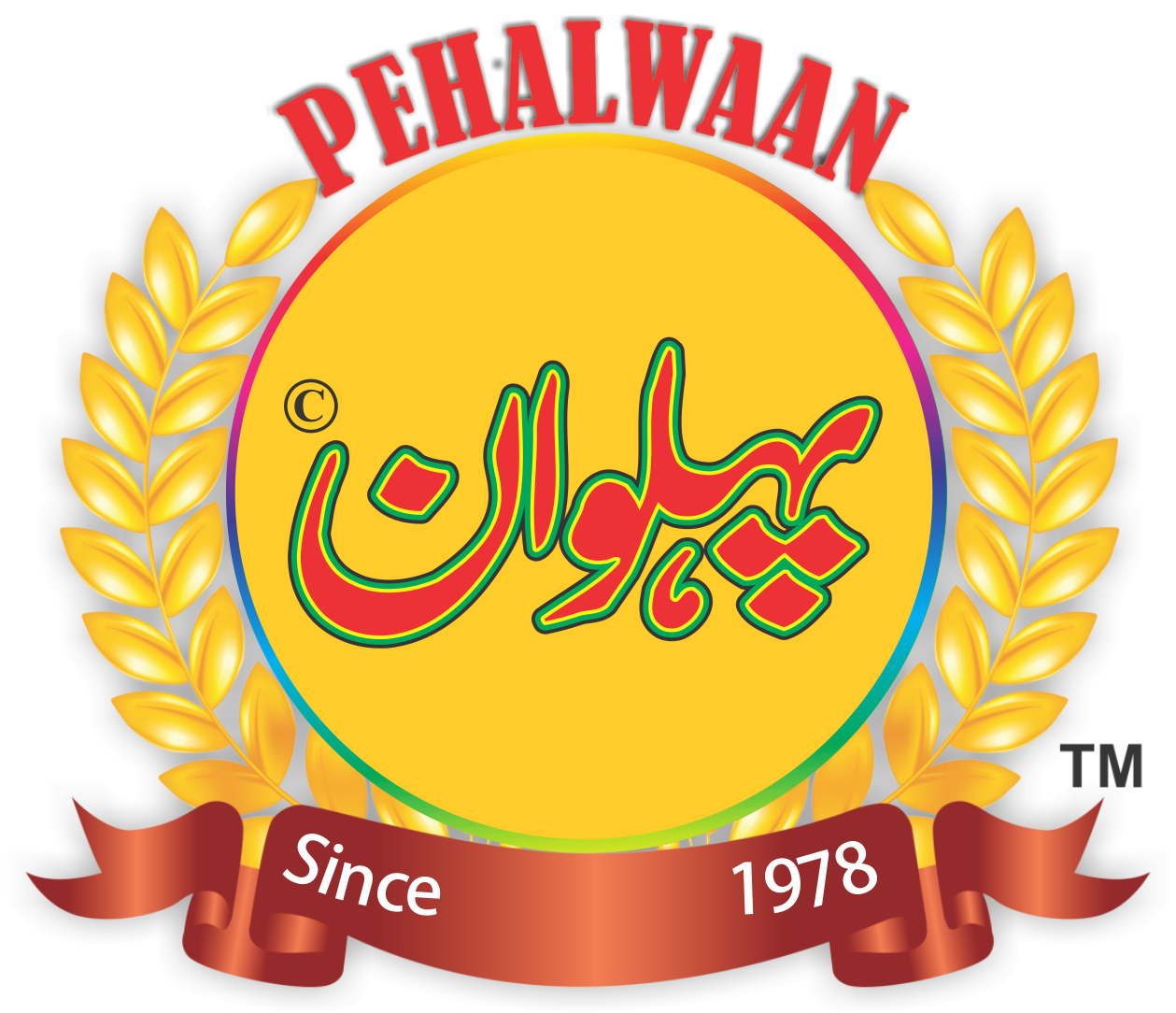 PMS | Best Software House In Pakistan | IT Software Company